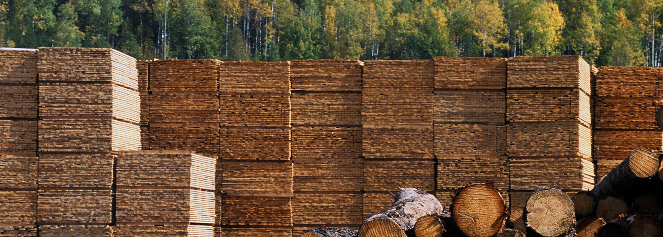 Compare Wood Species: Compare different types of Canadian wood species